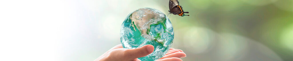 Compromiso ambiental - Industrias Lember